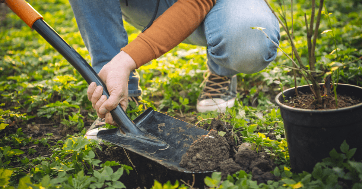 Stericycle and Arbor Day Foundation Plant 80,000+ Trees for ...