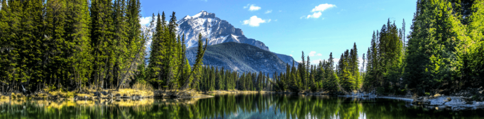 Stericycle Receives a B Rating on Third CDP Climate Change Survey ...